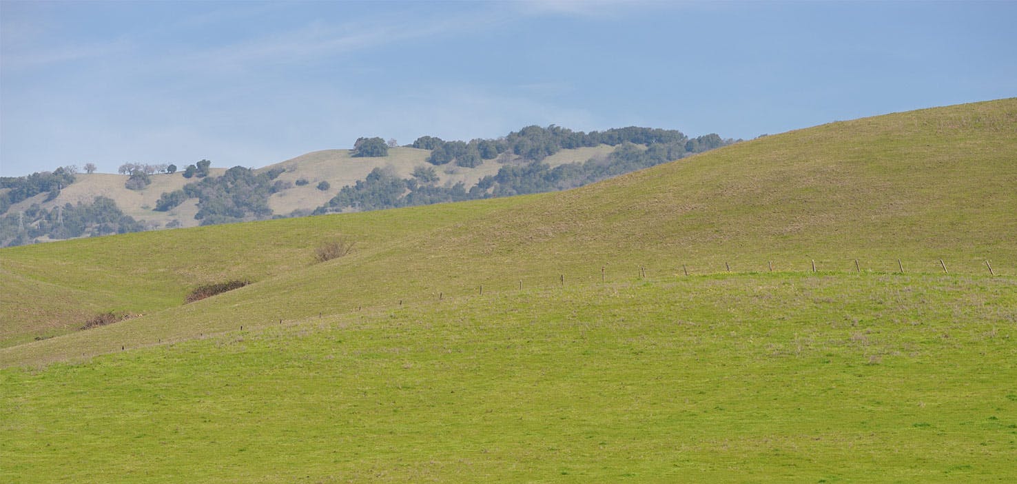 Dog Walkers in Rohnert Park, CA - Dog Walking Near You | Wag!