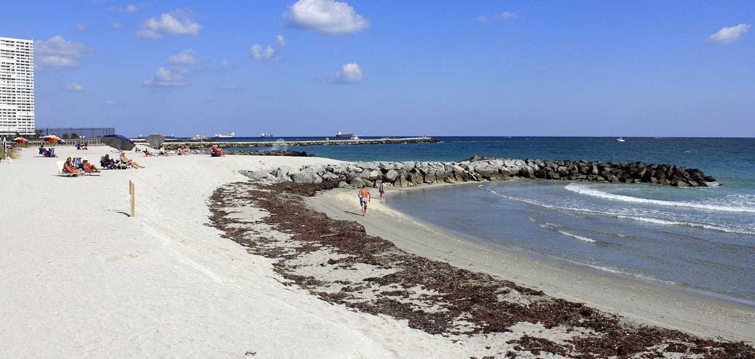 Dog Walkers in Dania Beach, FL - Dog Walking Near You | Wag!