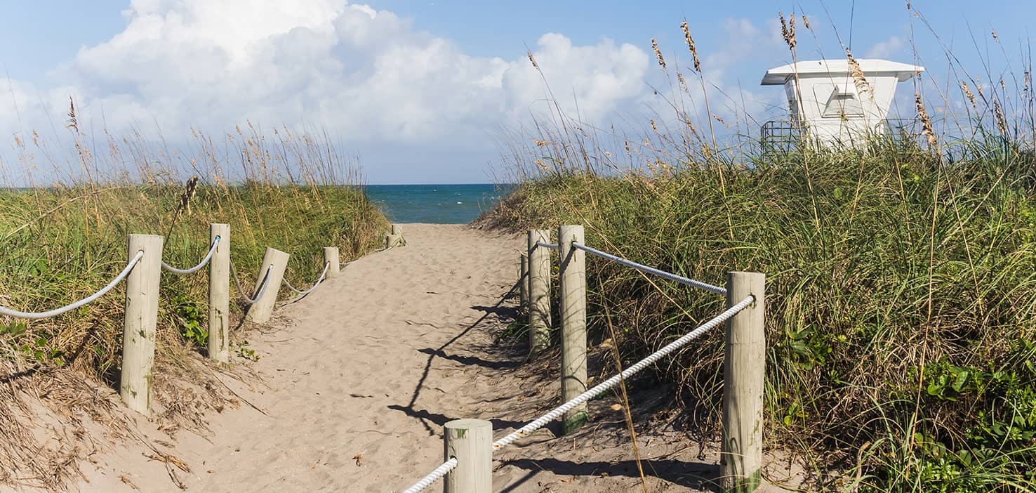 Dog Walkers in Fort Pierce, FL - Dog Walking Near You | Wag!