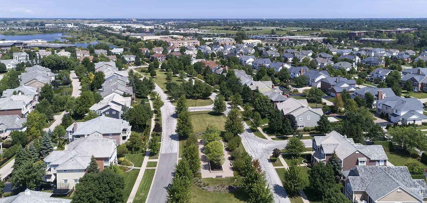 Dog Walkers in Burbank, IL - Dog Walking Near You | Wag!