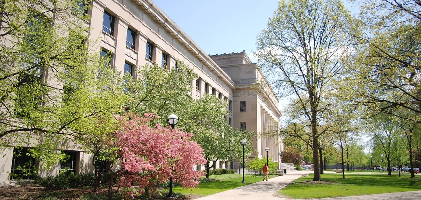 Dog Walkers in Canton, MI - Dog Walking Near You | Wag!