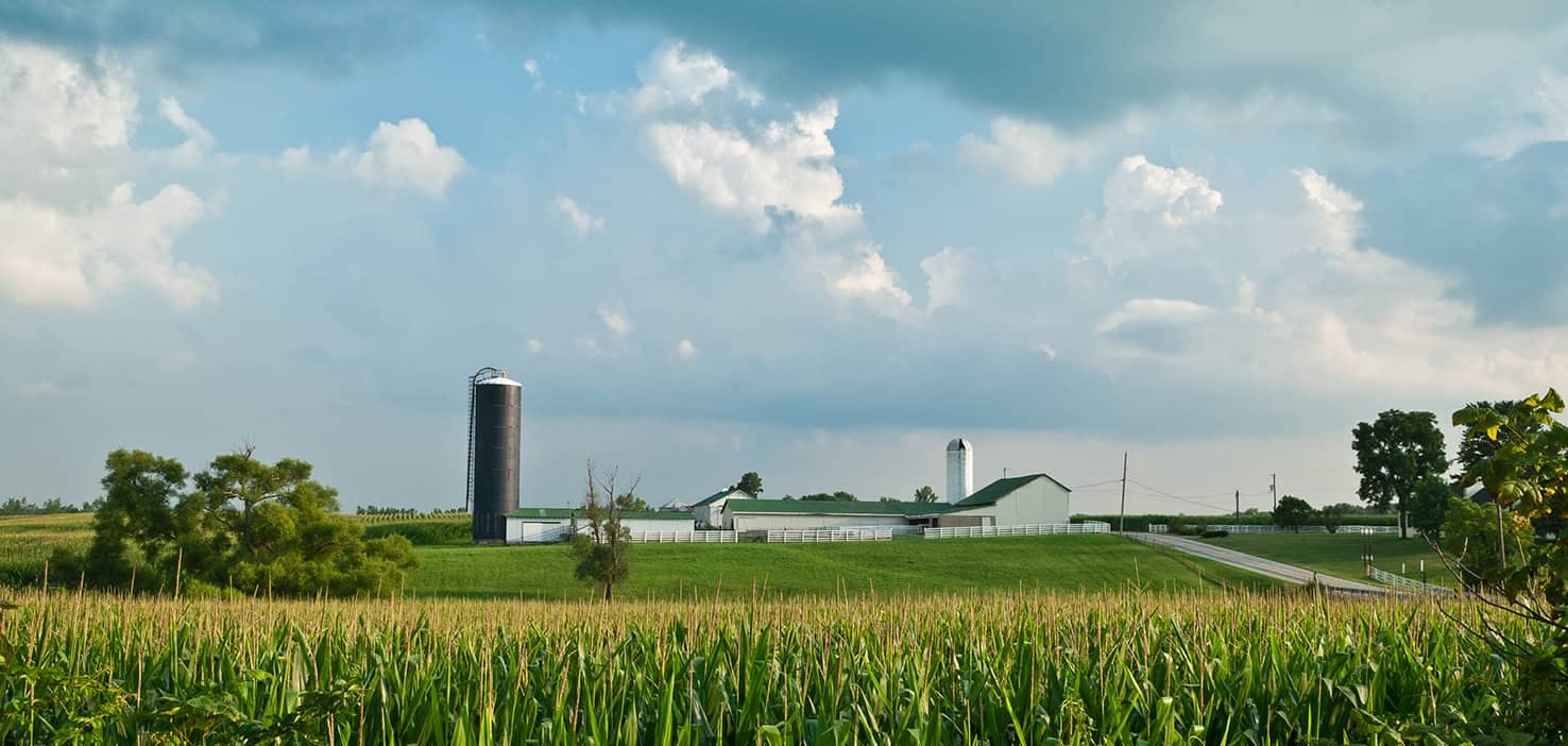 Dog Walkers in Springfield, OH - Dog Walking Near You | Wag!