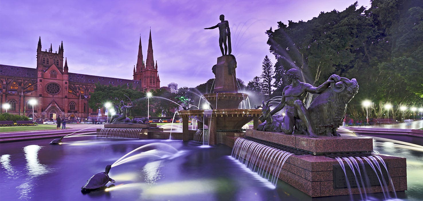 Dog Walkers in Archbald, PA - Dog Walking Near You | Wag!