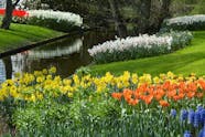 Spring Season Allergies In Dogs Symptoms Causes Diagnosis Spring Season Allergies In Dogs Symptoms Causes Diagnosis