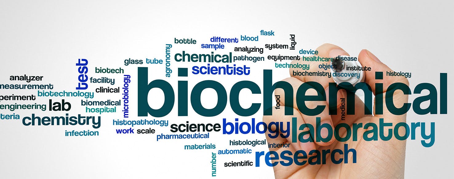 Biochemical Profile in Dogs | Wag!