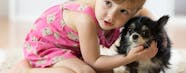 Can Dogs Help With ADHD Wag 